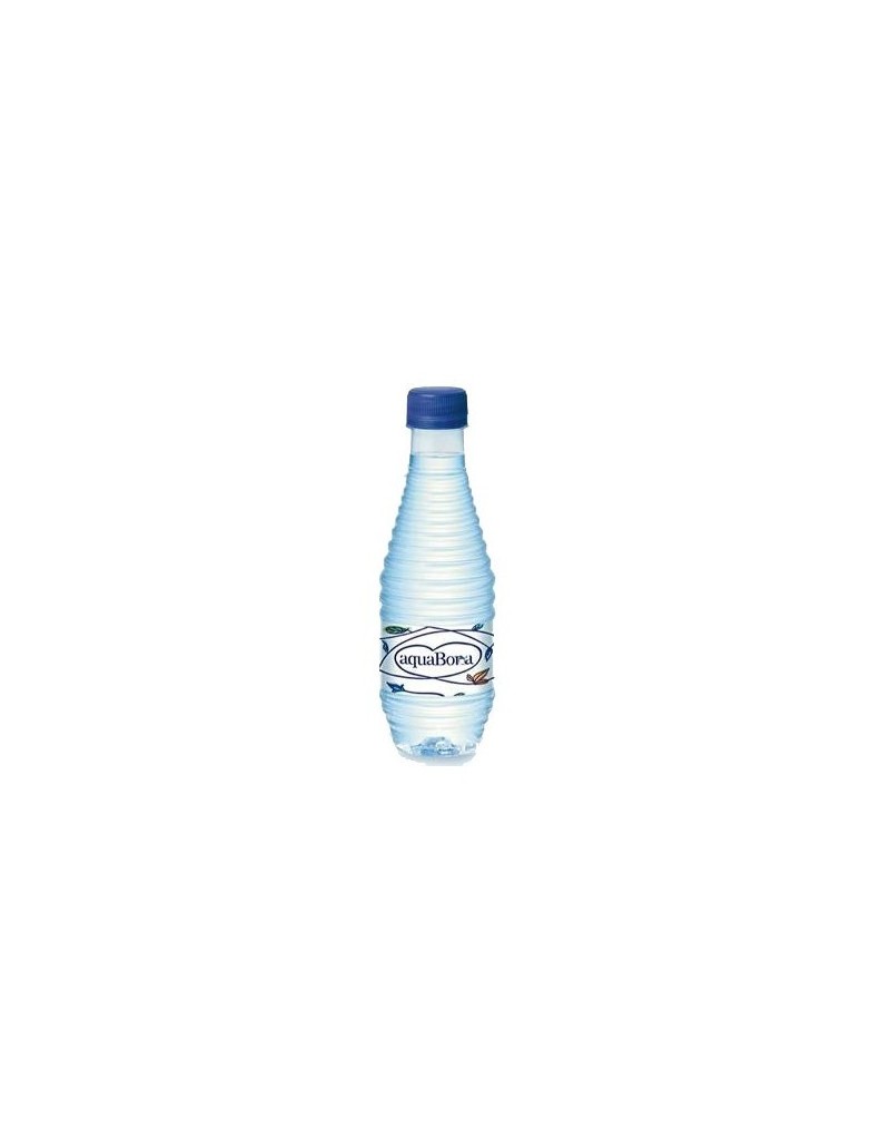 Normal Watter in Plastic Bottle